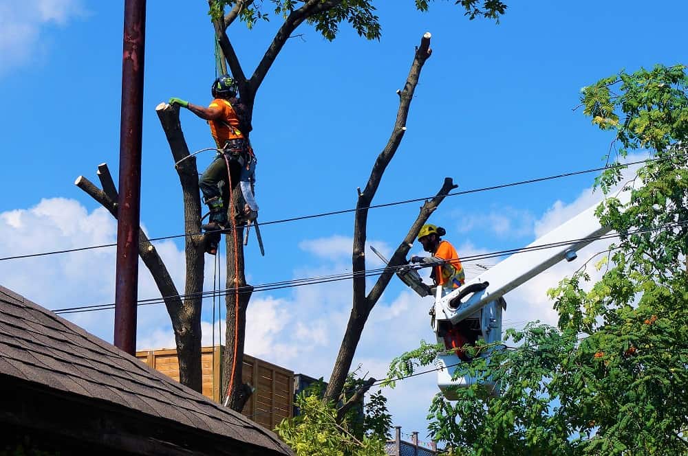 Promos – GSU | Greater Sudbury Utilities